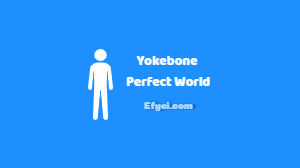 √ Kumpulan Yokebone (Perfect World Indonesia) All Job